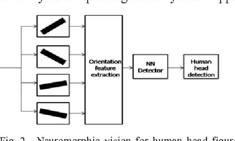 Figure 1 From Enhanced Neuromorphic Visual Processing By Segmented Neuron For Intelligent
