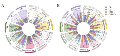 Create A Dynamic Budget Plan In Power Bi By Zheming Xu Learning Data Medium