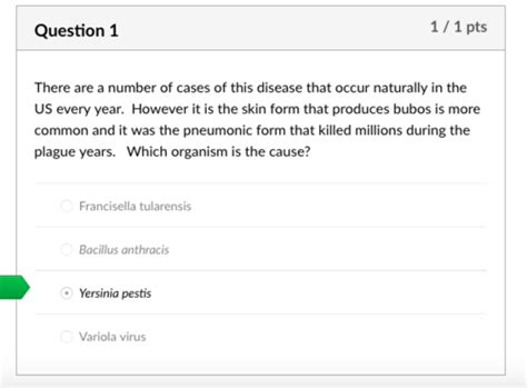 Practice Questions Flashcards Quizlet