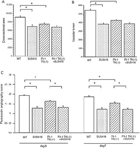 Cnvm Formation Is Reduced In Flt 1 Tyrosine Kinase Domaindefi Cient Download Scientific Diagram