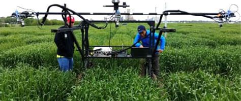 high throughput field phenotyping infrared radiometers