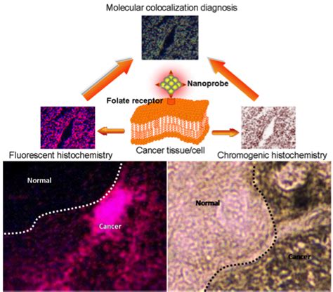 Research Cai Research Group