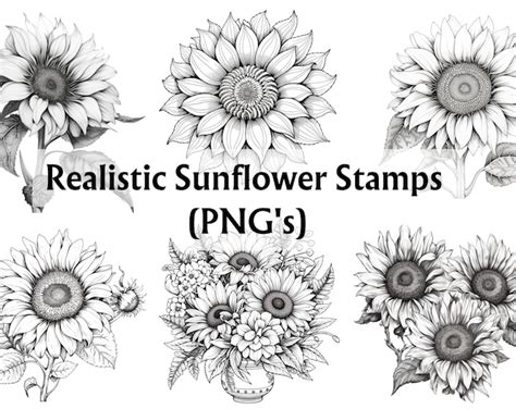 Black And White Sunflower Tattoo Png Sunflower Tattoo Tattoo Flash