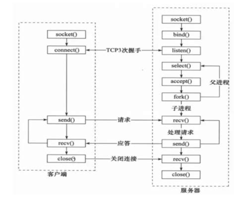 网络编程基于TCP UDP实现客户端和服务端通信C语言实现简单易懂 知乎