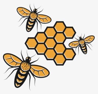 Free Honey Clip Art With No Background Clipartkey
