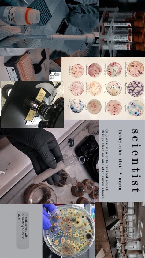Lab Aesthetic Wallpaper Medical Laboratory Scientist Medical