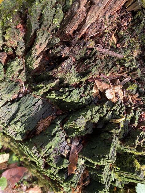 On Aging — Atom Iris