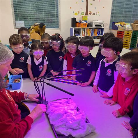 🌟 Our Pre K Class Is Growing Something Magical 🌟 Ms Kanovs Class Planted Magic Candy Cane