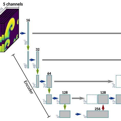 Detection Of Phase Singularities And The Architecture Of The Unet An
