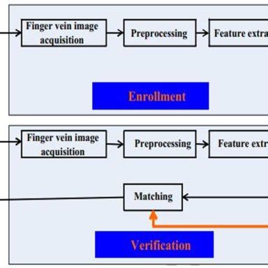 PDF A Review On Finger Vein Recognition Using Deep Learning Techniques