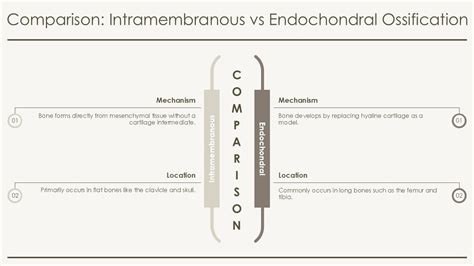 Comparison Intramembranous Vs Endochondral Ossification Ppt Structure Acp Ppt Template