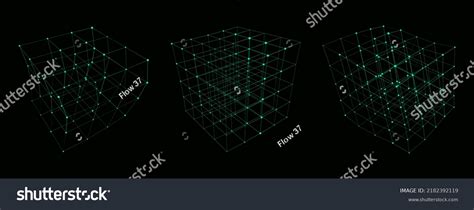 Set Deformed Wireframe Cube Different Sides Stock Vector Royalty Free 2182392119 Shutterstock