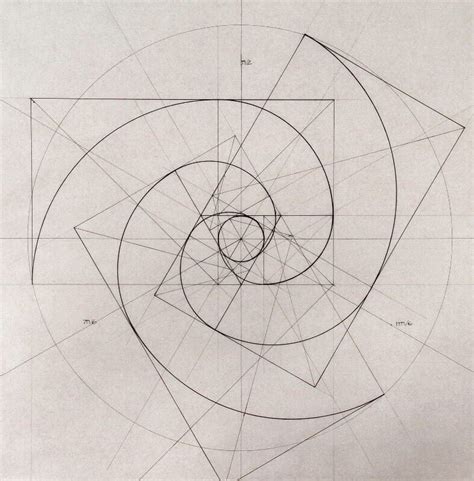 Triple Fibonacci Spirals Geometry Art