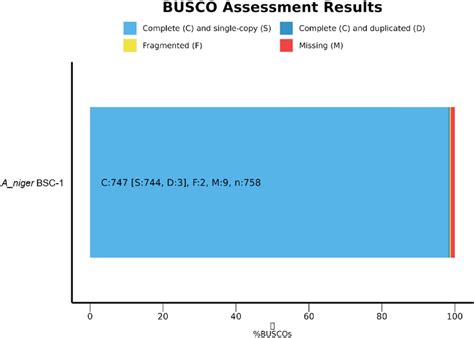 Busco Analysis For A Niger Bsc 1 Genome Quality Assessment Constructed Download Scientific
