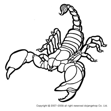 색칠공부 스템프 곤충 실사 03 네이버 블로그