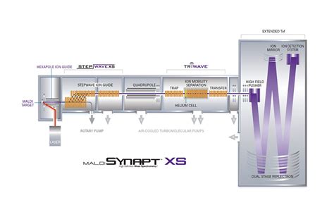 Maldi Matrix Assisted Laser Desorption Ionization Waters