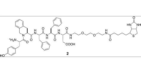 Solid Phase Synthesis Of Asymmetrically Branched 53 Off