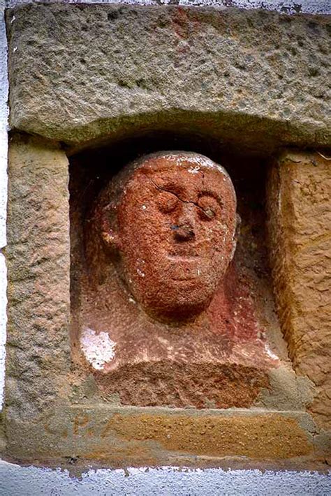 El Tejo árbol Sagrado Y Seña De Identidad Del Pueblo Asturiano