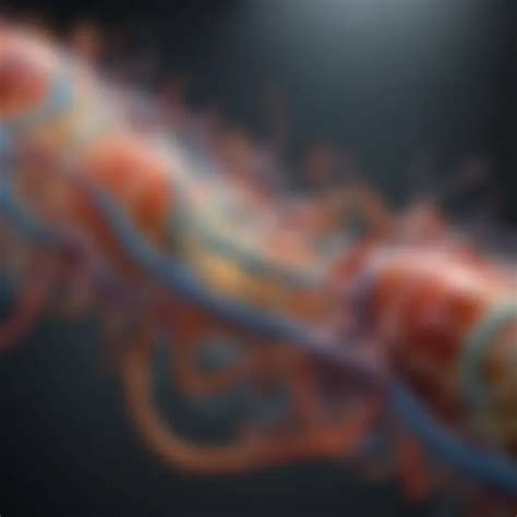 Exploring The Intricacies Of Protein Metabolism