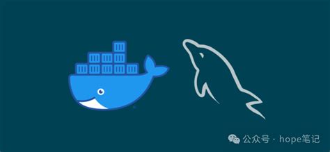 在docker中运行mysql的思考：挑战与解决方案使用容器运行mysql 的问题 Csdn博客