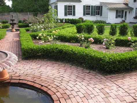 Green Velvet Boxwood Planting Lush Hedge Guide