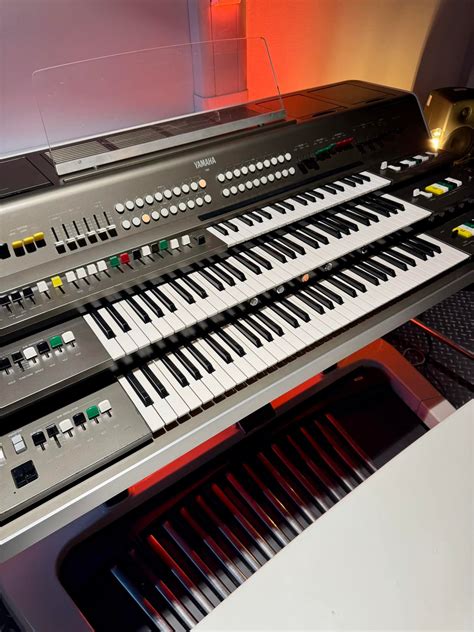 Alex Payler Electone Player