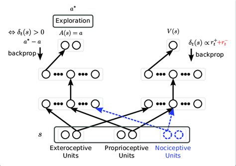 the neural architecture used for inverse kinematics learning for