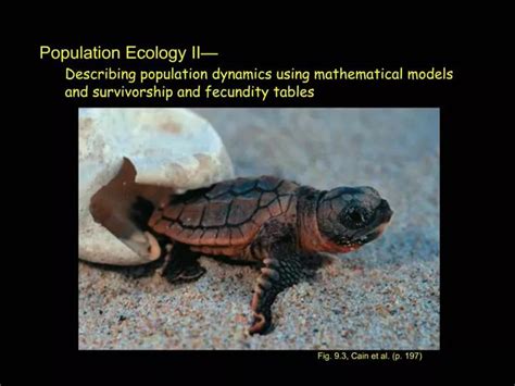 Ppt Population Ecology Ii Describing Population Dynamics Using