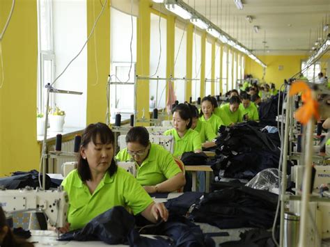 Бүтээлч үйлс ХК өрхийн амжиргааны түвшинг сайжруулахад хувь нэмрээ оруулж байна Isee Mn