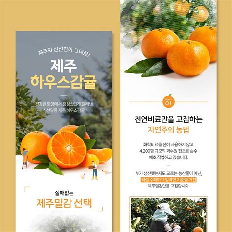 식품 제주 하우스감귤 상세페이지 상세페이지 포트폴리오 크몽