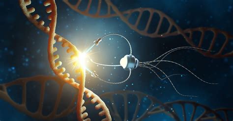Quantum Computing Nanotechnology And Biotech Insights