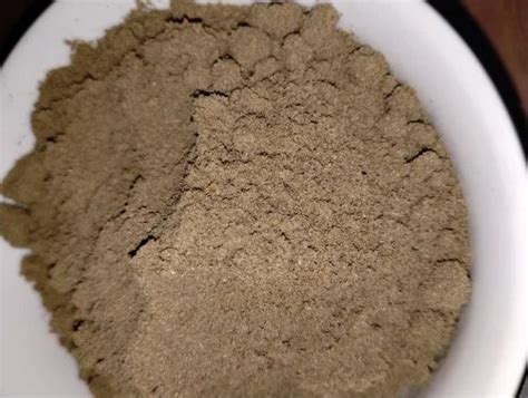 Celery Seed Powder Grade A Packaging Size 25 Kg At ₹ 125kg In Ladwa