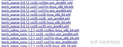 Python39cuda113torch1101 导入torchgeometric、torch Sparse、torch