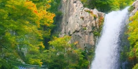 🌊 비온뒤 꼭 가봐야하는무지개와 용의 전설이 깃든 3단 폭포 자연 속 힐링 여행지 여행의 소리