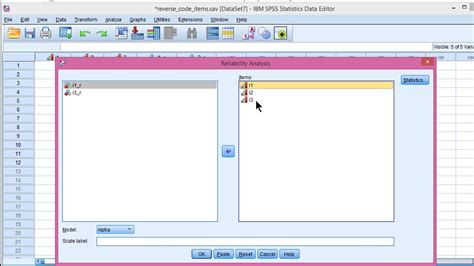 reverse scoring items in spss youtube