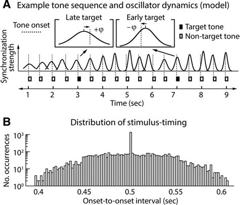 Figure 2 From Temporal Expectations And Neural Amplitude Fluctuations In Auditory Cortex