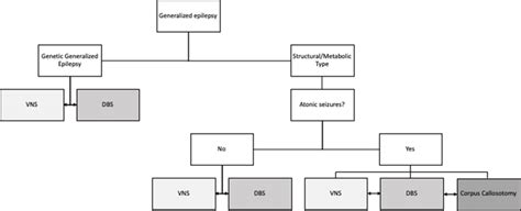 Treatment Algorithm For Generalized Epilepsy Download Scientific Diagram