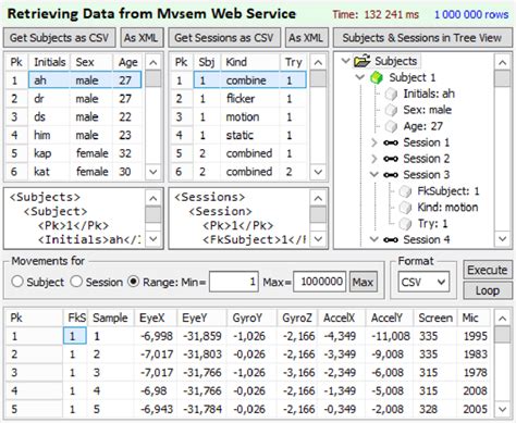 A Working Session With The Web Service Based Application Download