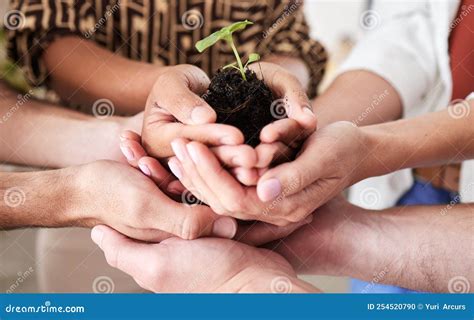 Green Economy Sustainability Plant Hands And Global Growth Of Teamwork With Hope Help And
