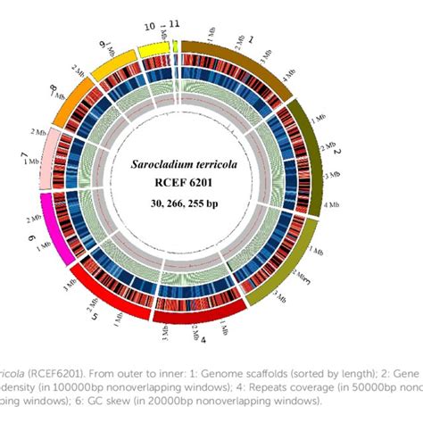 Maximum Likelihood Phylogenomic Tree Based On The Amino Acids Encoded