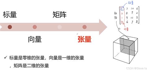 [自然语言处理]pytorch概述 什么是张量 tensor 和基本操作 自然语言处理 steve lu 讯飞ai开发者社区
