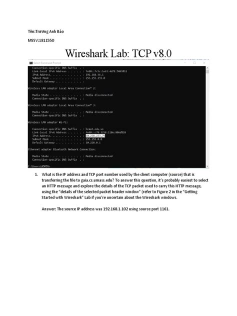 wireshark lab tcp v8 0 pdf transmission control protocol port