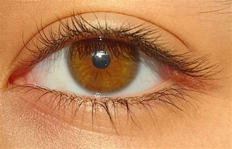 My Eye Brown Eyes Aesthetic Pretty Eyes Beautiful Eyes Color