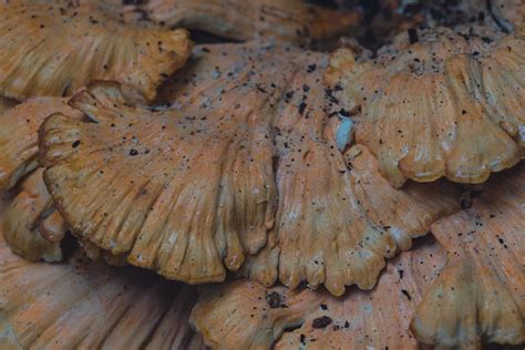 How To Describe A Spatial Pattern The Art Bay