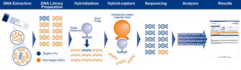 33356 Nexgen Fungal Afb Next Generation Sequencing Ngs
