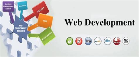 Hire Dot Net Programmers For Professional And Business Projects By
