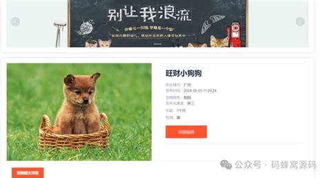 【开题报告文档源码】基于springboot的宠物领养系统设计与实现基于springboot的宠物之家系统的设计与实现开题报告 Csdn博客