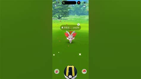 색이다른 이로치 푸호꼬 포켓몬고 색이다른 이로치 Pokemongo Shiny Shinypokemon 色違い 포켓몬go ポケモンgo Youtube