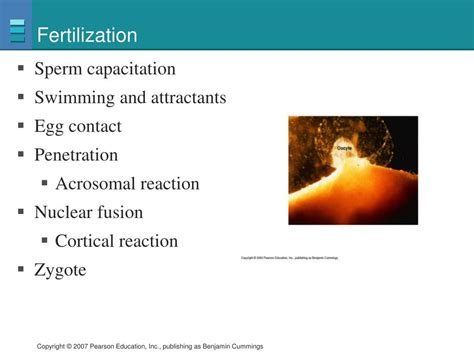 Ppt Understanding Sex Determination And Reproduction Process Powerpoint Presentation Id 3223849