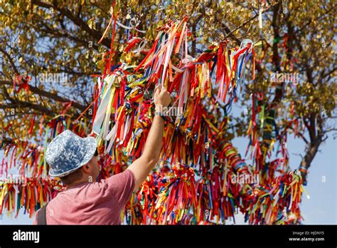 Man Near Tree Of Desires Stock Photo Alamy